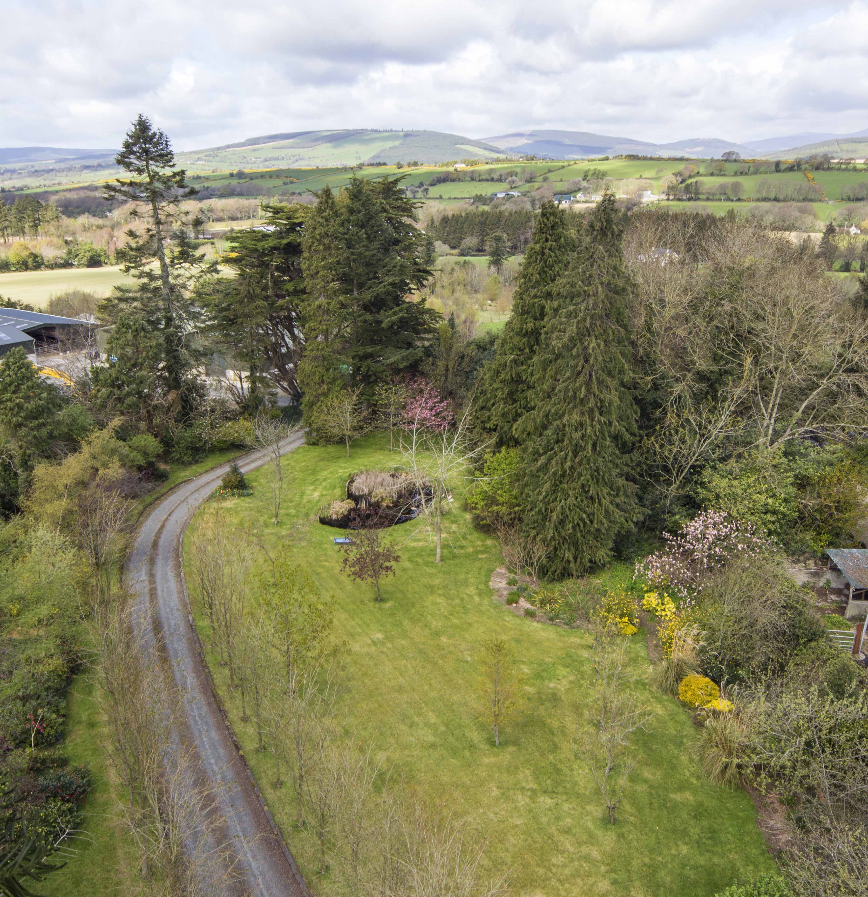 Gallery – Clone House